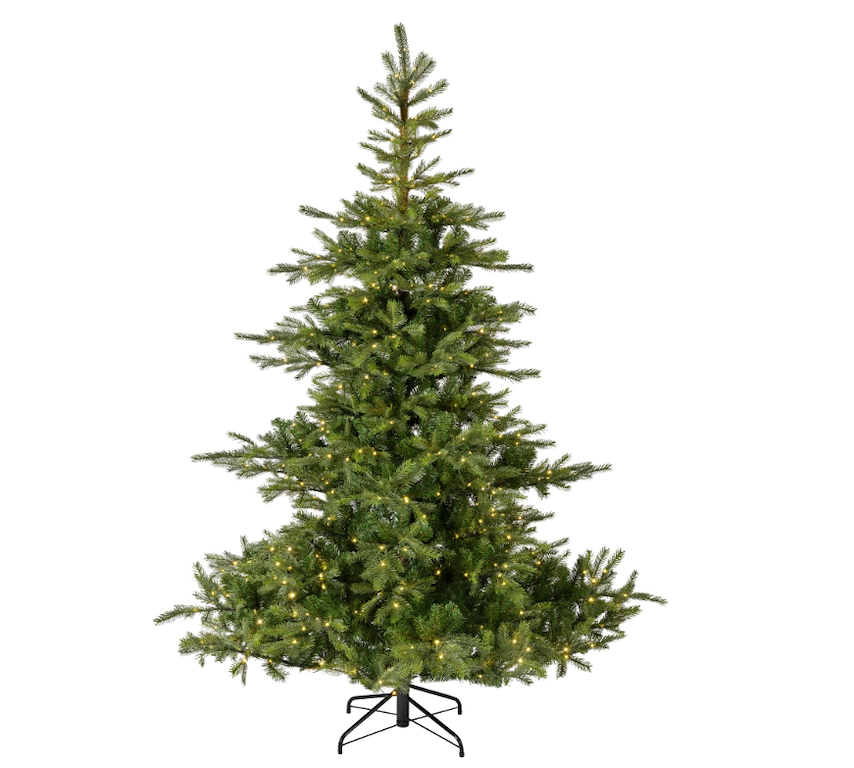 JELKA GRANDIS FIR ZELENA 210 CM