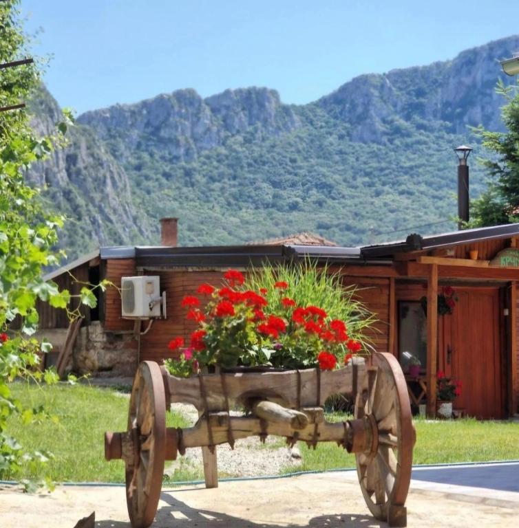 Ramonda Serbica - Gorge View & Peacful Nature Retreat