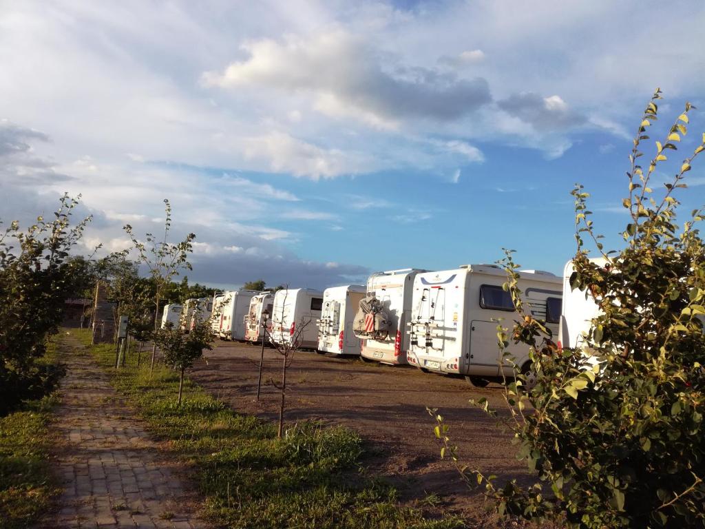 Camp Salaš Farma 47 Čenej