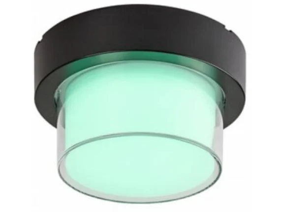 Rabalux Spoljnja zidna rasveta Spoljnja plafons Durbe LED 10W crna (7246)