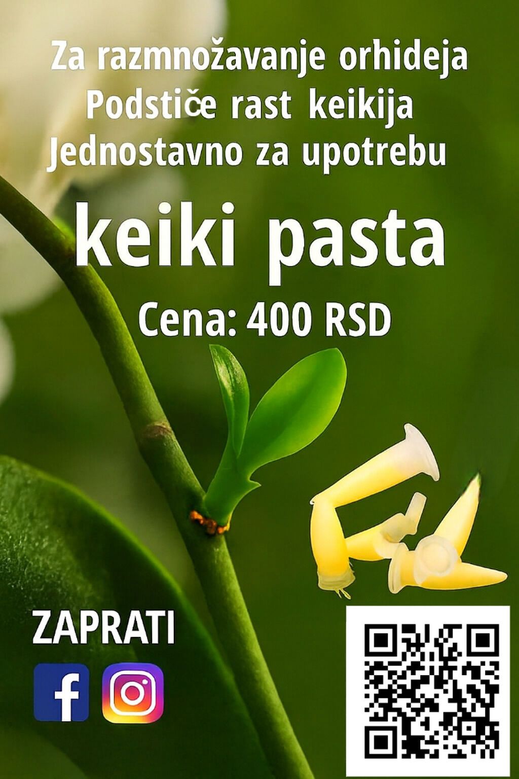Keiki pasta za razmnozavanje i produzetak cvetanja vaše