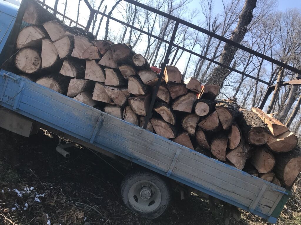 Crvena vrba na prodaju sveze obarana donosim na kucnu adresu cena