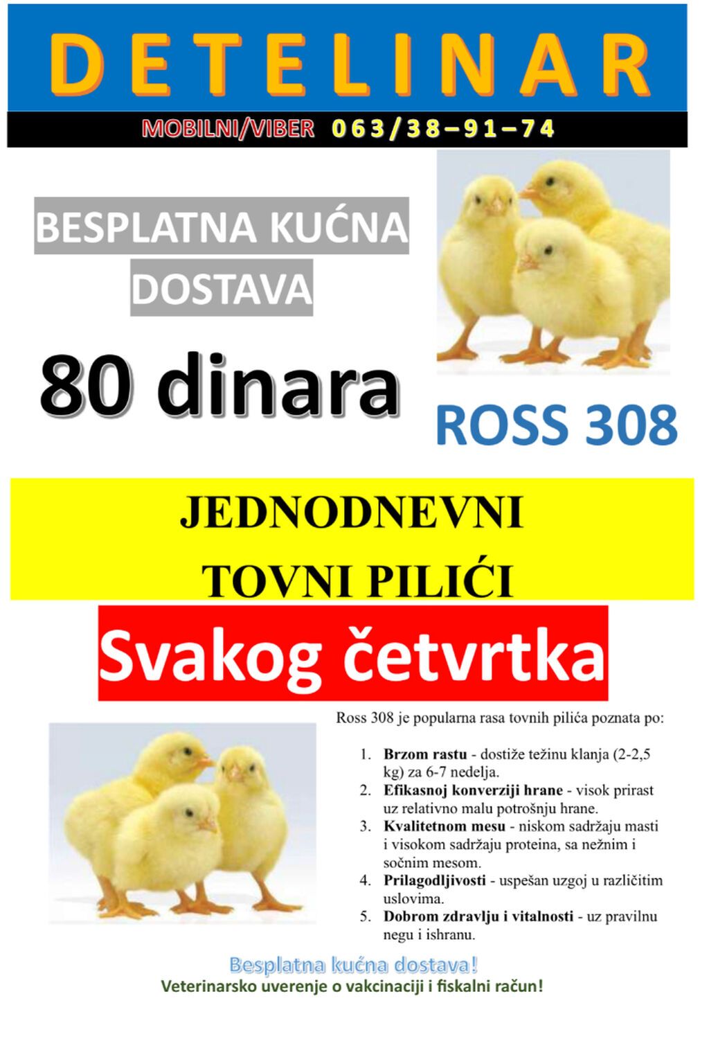 Jednodnevni tovni pilici na prodaju! Dostava do vase adrese je