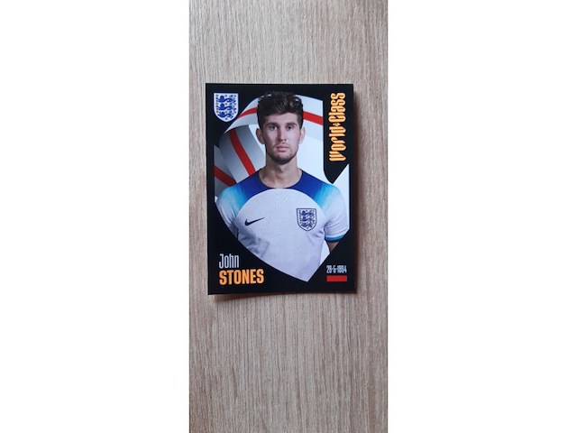 World Class Panini 2024 sličica broj 272