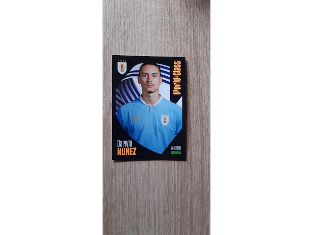 World Class Panini 2024 sličica broj 248