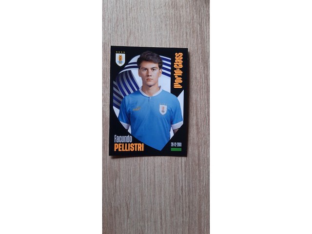 World Class Panini 2024 sličica broj 247