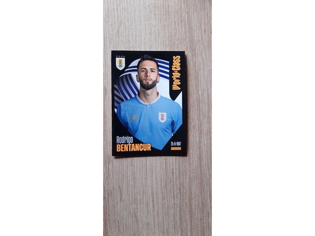 World Class Panini 2024 sličica broj 242