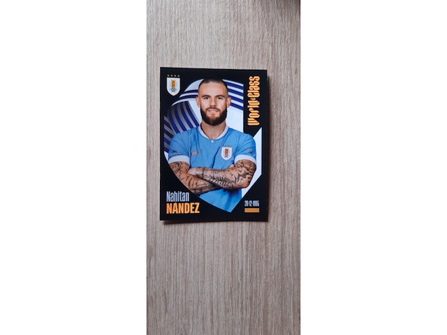 World Class Panini 2024 sličica broj 239