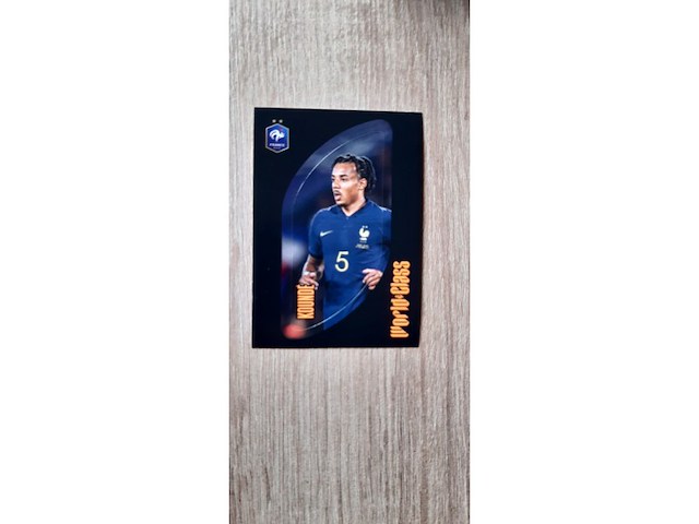 World Class Panini 2024 sličica broj 220