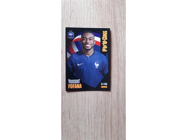 World Class Panini 2024 sličica broj 203