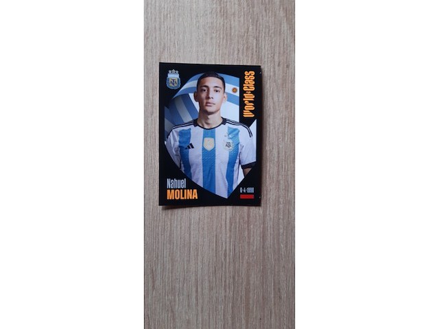 World Class Panini 2024 sličica broj 159