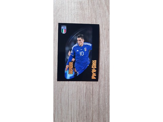 World Class Panini 2024 sličica broj 150