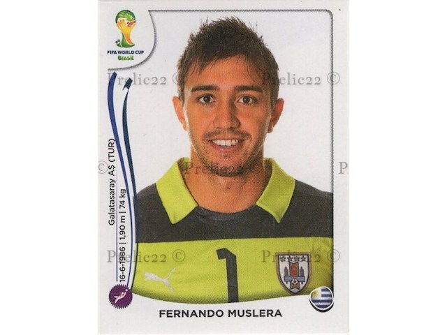 BRAZIL Brasil FIFA WC 2014 sličica broj 262, Panini