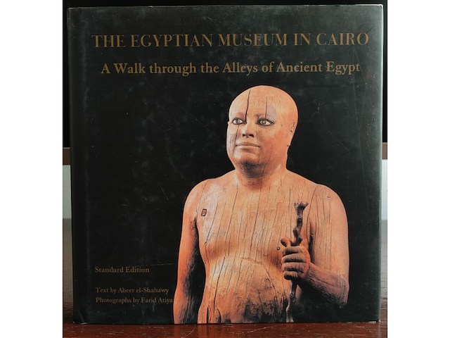 The Egyptian Museum in Cairo: A Walk Through the Alleys
