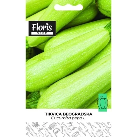 Seme tikvica Beogradska 20g - 10kom. Floris