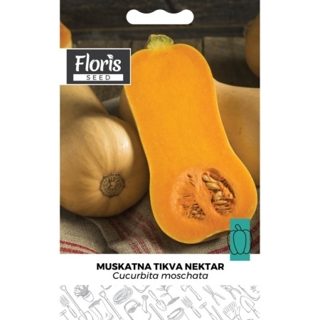 Seme tikva Muskatna Nektar 2g - 10kom. Floris
