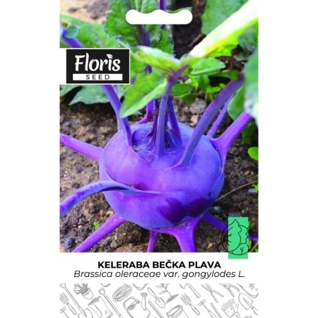 Seme keleraba Bečka plava 1g - 10kom. Floris