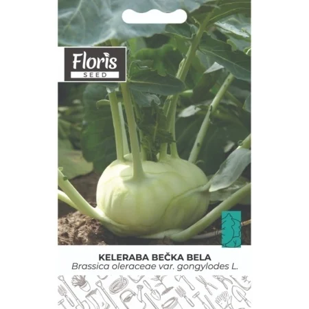 Seme keleraba Bečka bela 1g - 10kom. Floris