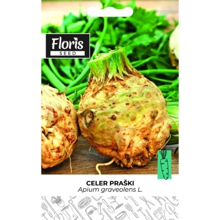 Seme celer Praški 0.5g - 10kom. Floris