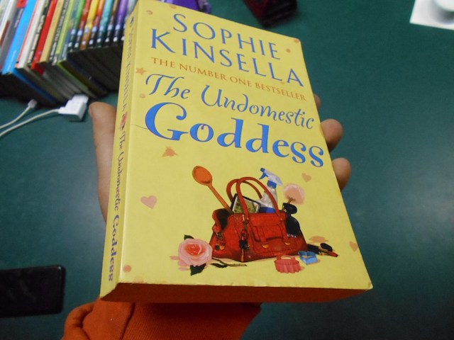 Sophie Kinsella - Undomestic Goddess