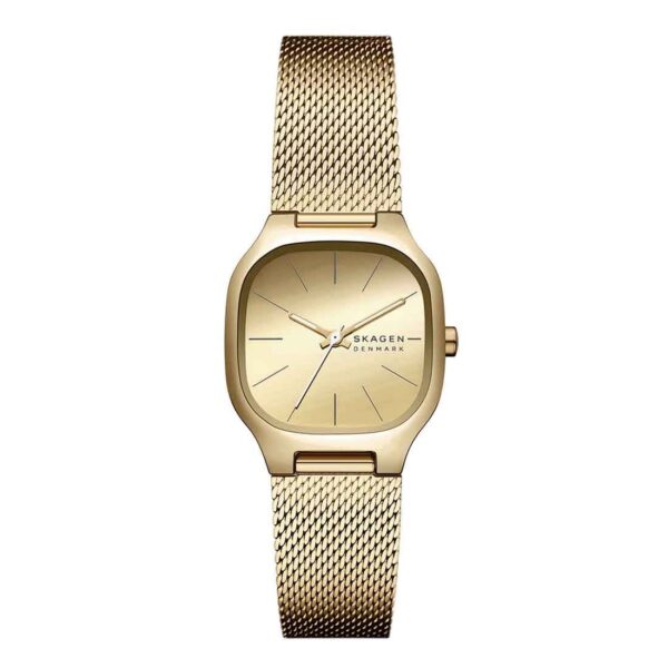 Skagen SKW3164