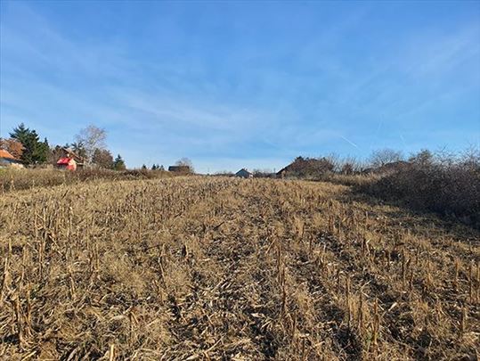 Avala (izuzetna pozicija)