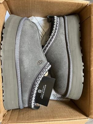 Ugg Tazz Obsidian 37 velicina original