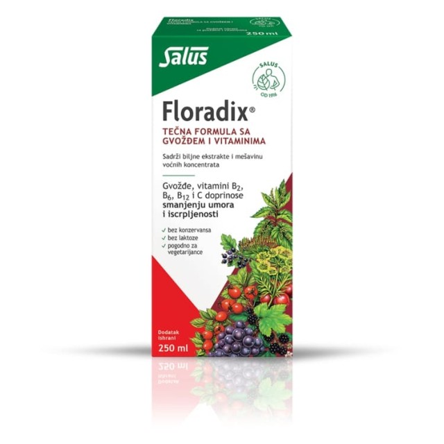 FLORADIX SIRUP SA GVOŽĐEM 250ML