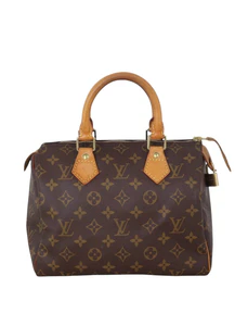 Louis Vuitton Torba