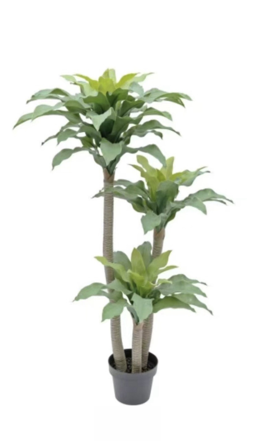 Vestacko DRVO DRACAENA 145 cm – Dekorativno drvo