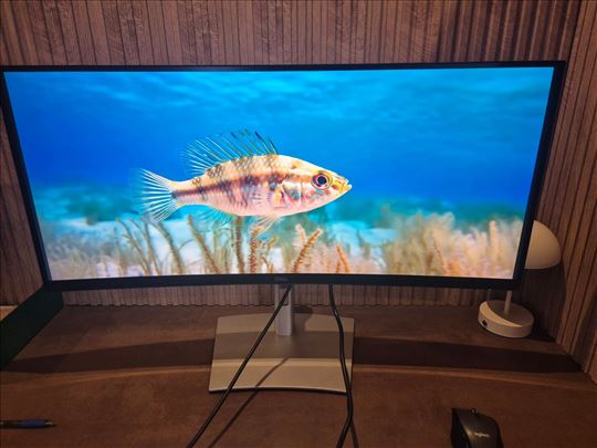 Dell monitor 34 P3424WE