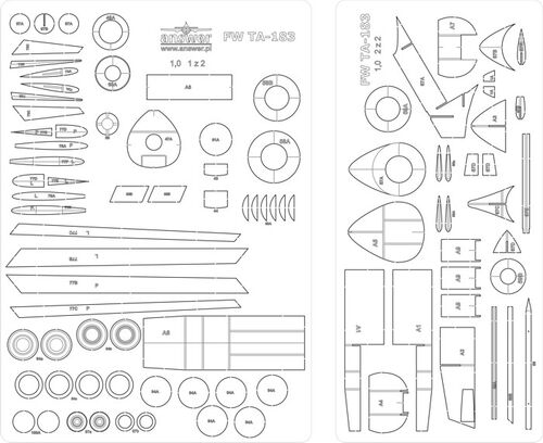 Answer MMM-06-2024-SZK Focke Wulf Ta-183 - Laser Cut Frames And Details