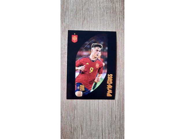 World Class Panini 2024 sličica broj 343