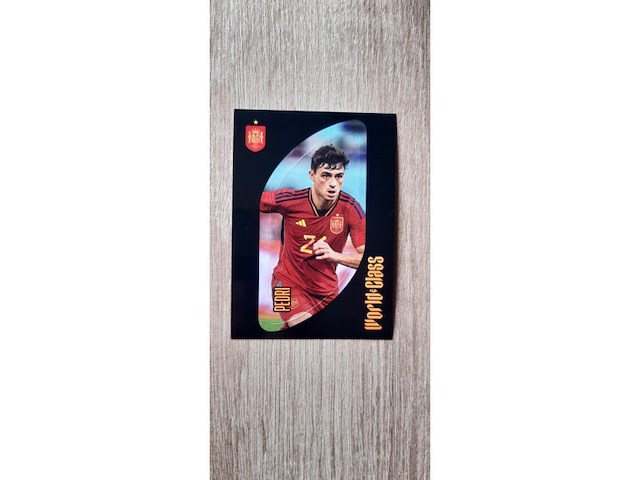 World Class Panini 2024 sličica broj 341
