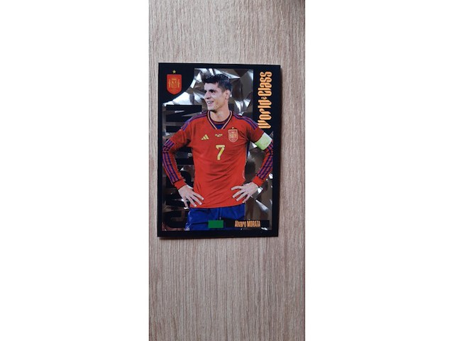 World Class Panini 2024 sličica broj 328