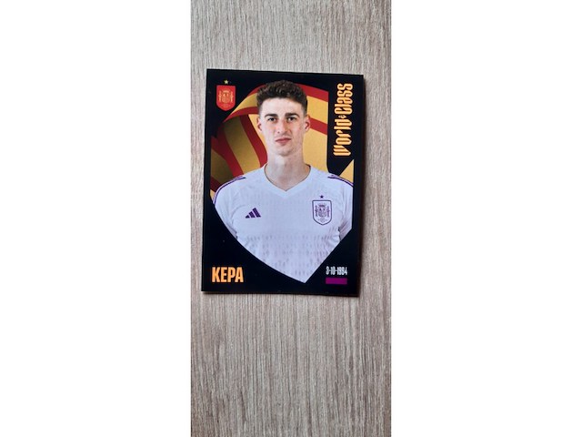 World Class Panini 2024 sličica broj 309