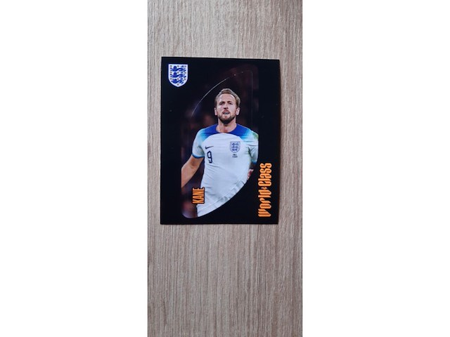 World Class Panini 2024 sličica broj 307