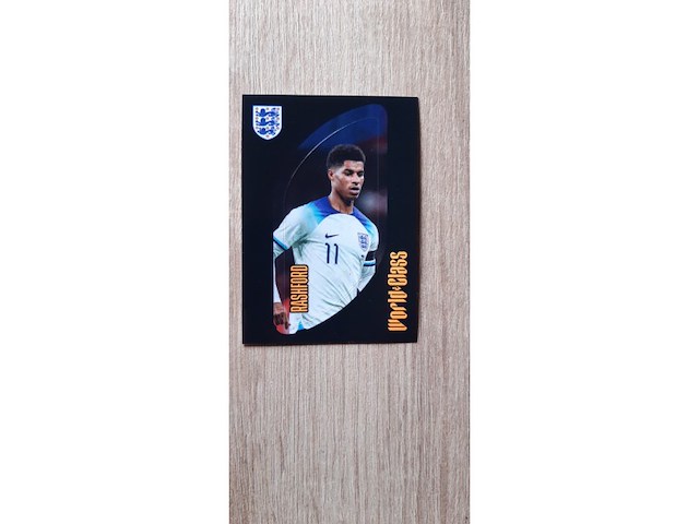 World Class Panini 2024 sličica broj 306