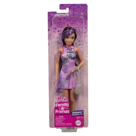 Barbie lutka Family&Friends Skipper ( 1042950 )