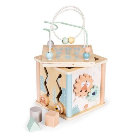 Eco toys drvena edukativna kocka sorter ( 1001 )