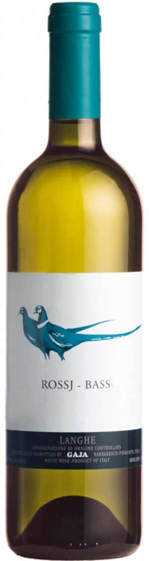 GAJA - ROSSJ BASS 2024