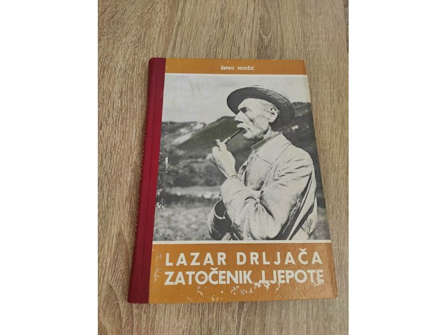 Šefko Hodžić - Lazar Drljača zatočenik lepote