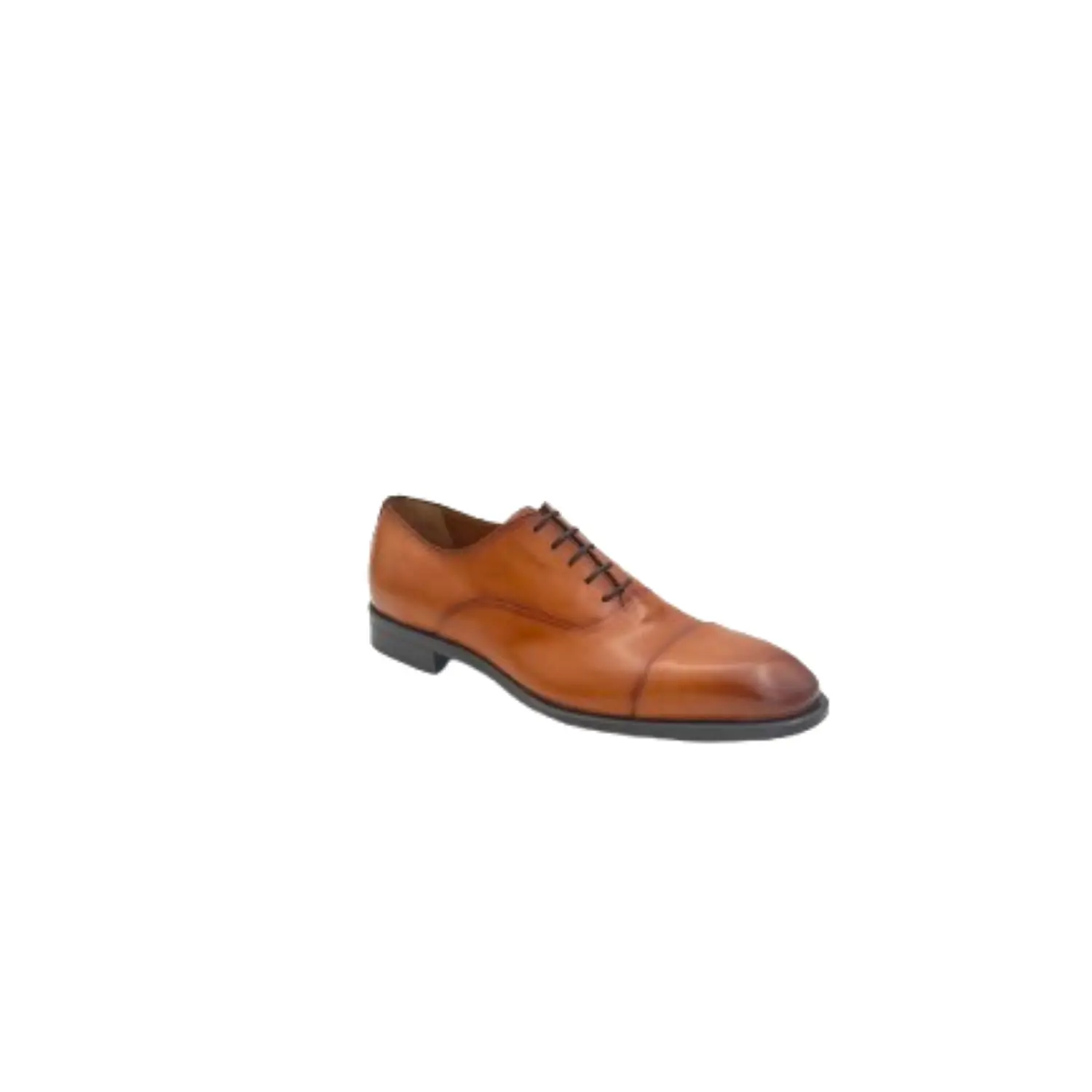 Antonio Mauritzi AM2552 9356 COGNAC