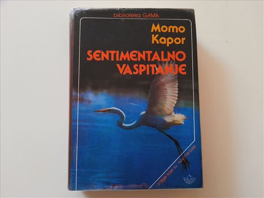 Sentimentalno vaspitanje - Momo Kapor