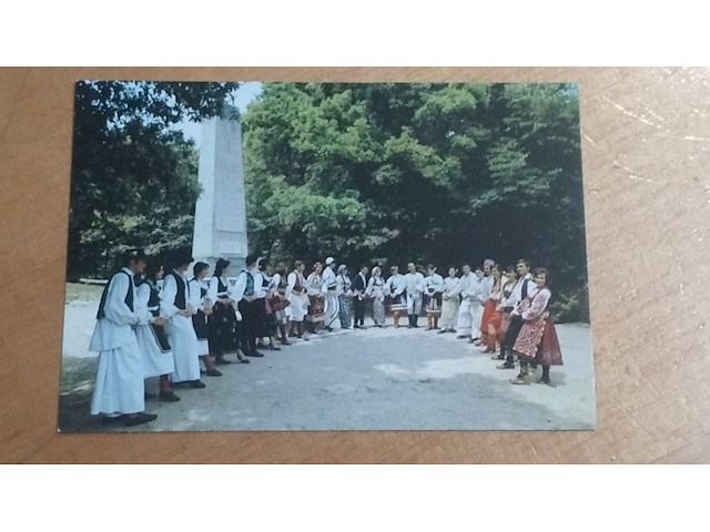 Sremski Karlovci - Brankovo Stražilovo - Čista -