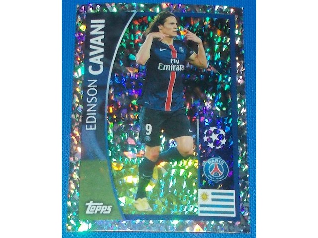 CHAMPIONS  LEAGUE  topps    br. 7