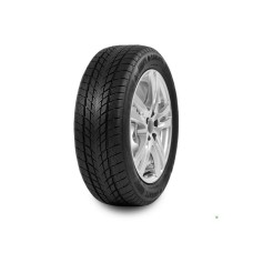 DAVANTI 205/55R16 94H Wintoura XL zim