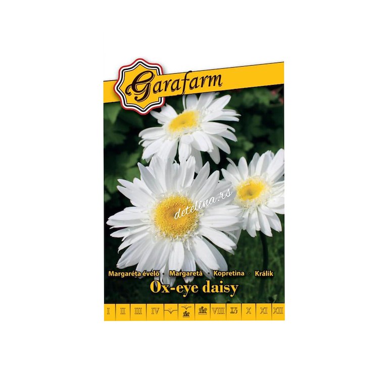 GARAFARM Ox-eye daisy Bela rada 0,5gr.