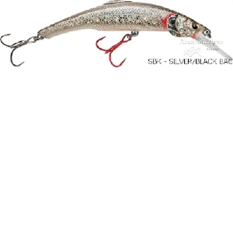 MATZUO Kinchou Minnow (SMDS9-SBK)