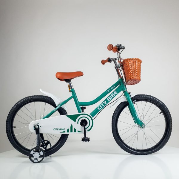 MODEL 718-20″ – BICIKL „CITY BIKE“ NOV MODEL VISE BOJA